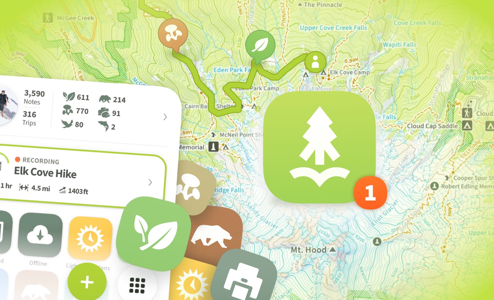 The Brand-New Natural Atlas Is Here | Natural Atlas