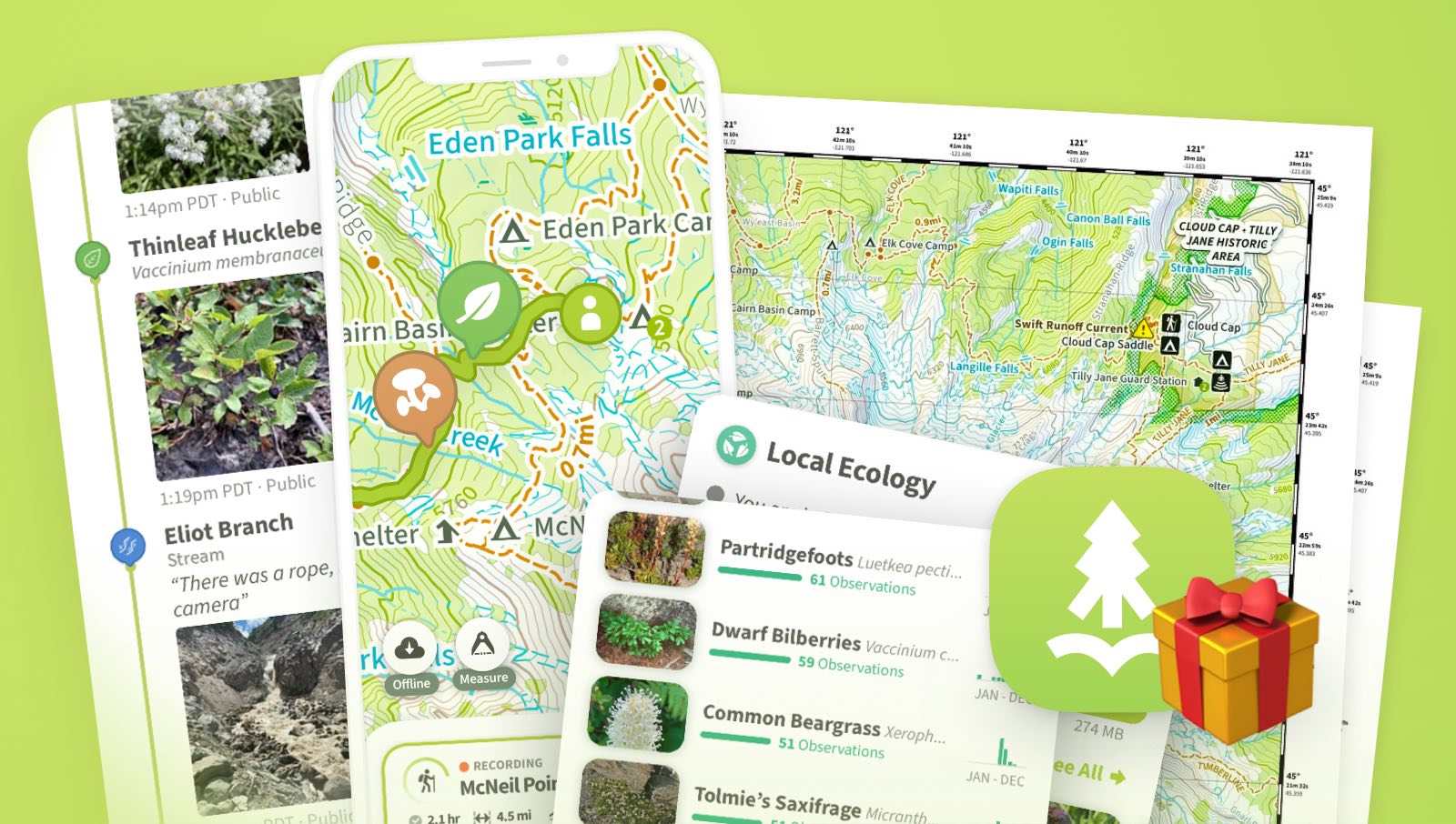 Gift Natural Atlas Plus